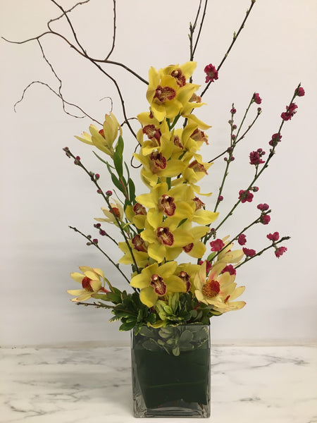 Cymbidium Orchid – Roger Beck Florist